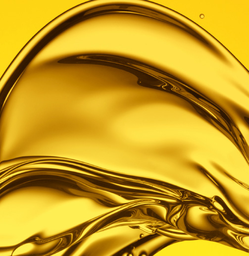 EELQMS_testimonial_img1 | EELQMS